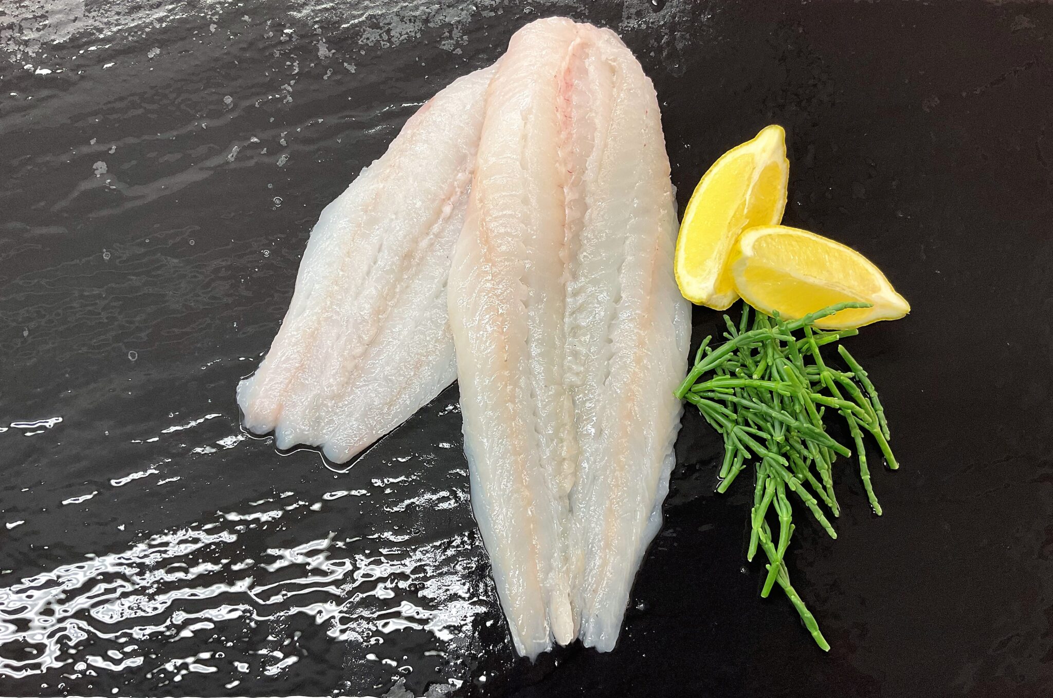 D.R Collin Fish Online Fishmonger, UK Delivery, Live Shellfish