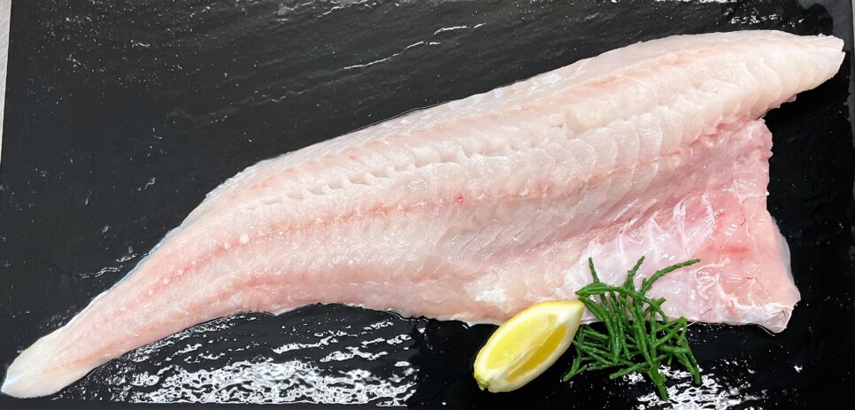 Cod Loin