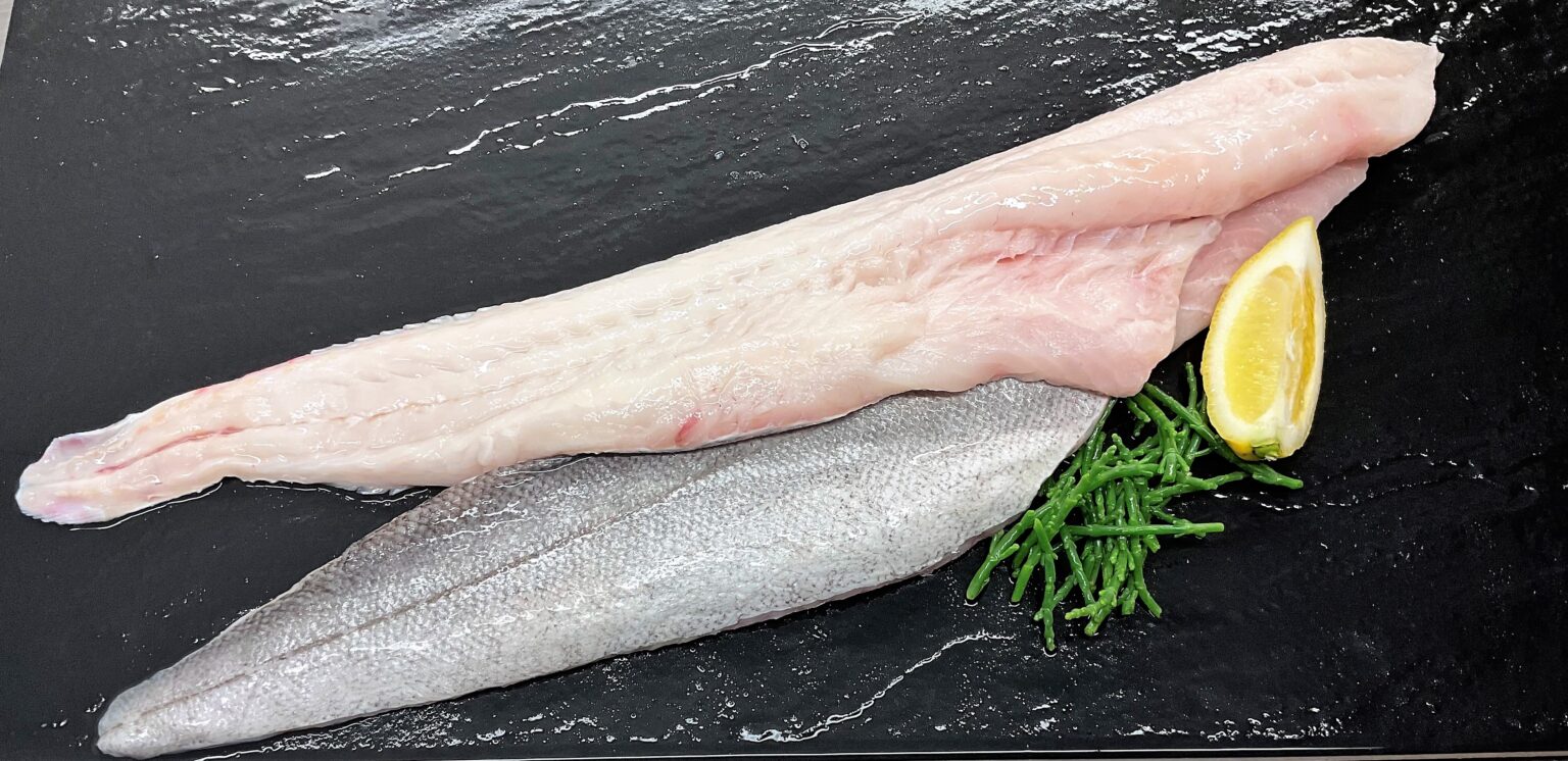 D.R Collin Fish Online Fishmonger, UK Delivery, Live Shellfish