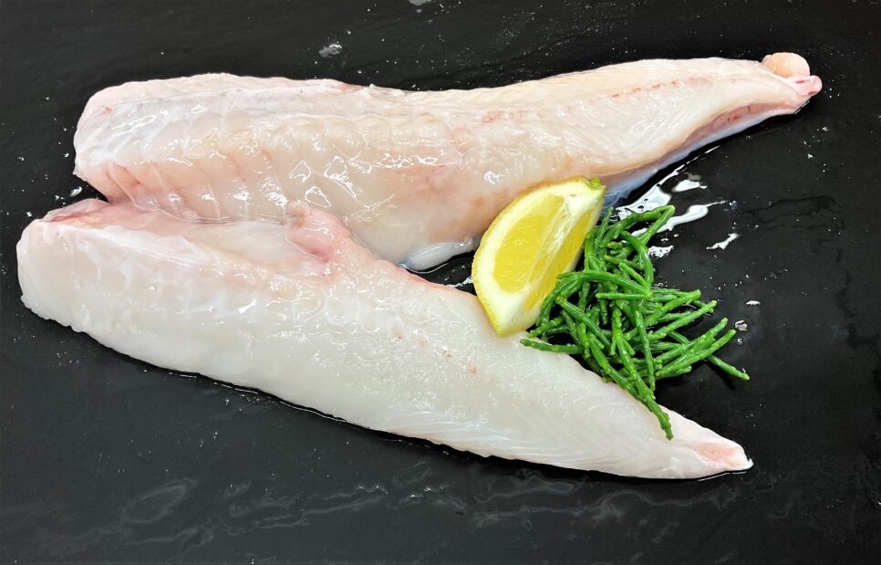 Monkfish Fillets - D.R Collin Fish