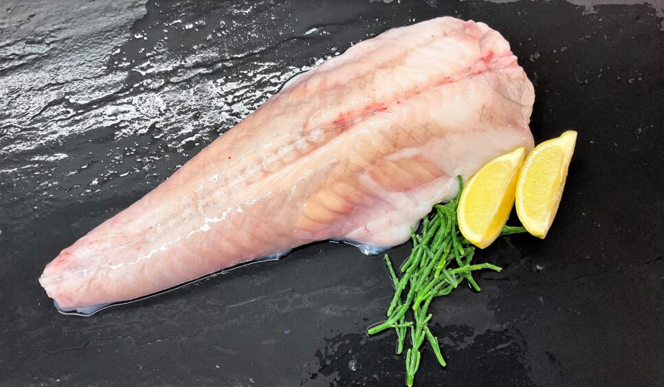 Monkfish Tails - D.R Collin Fish