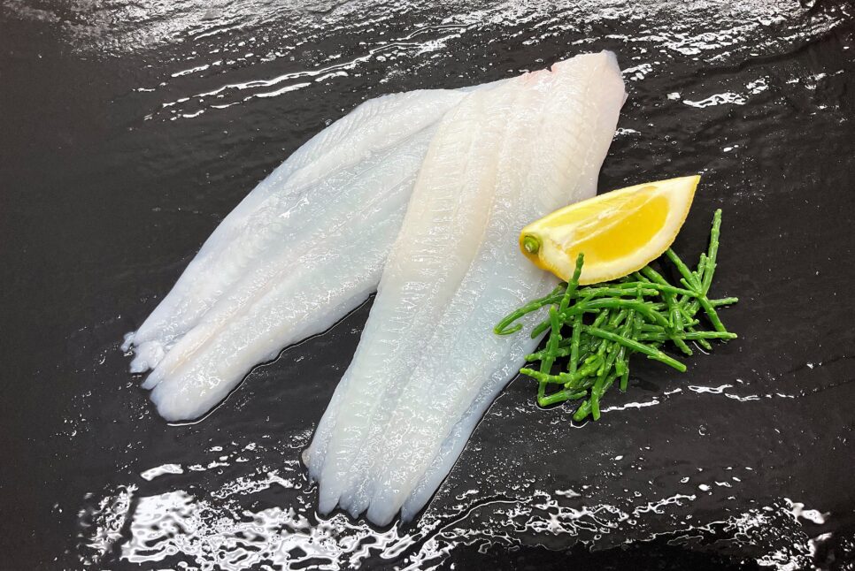 Witch Sole Delivered to your door - D.R Collin Fish