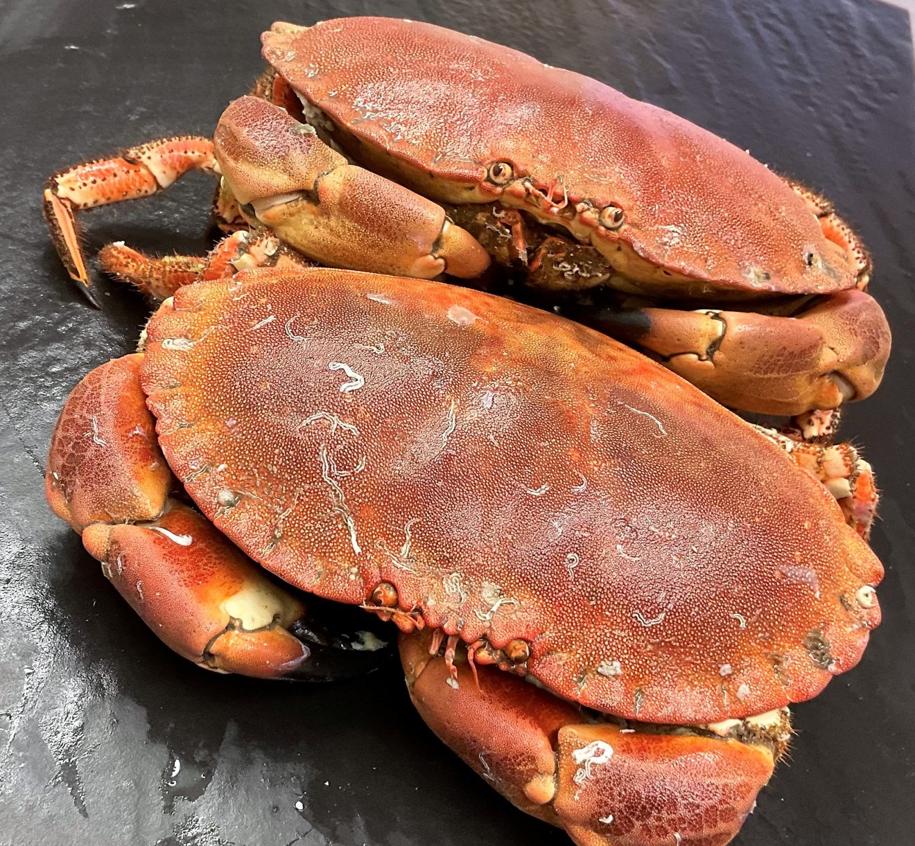 Whole Cooked Crab - D.R Collin Fish