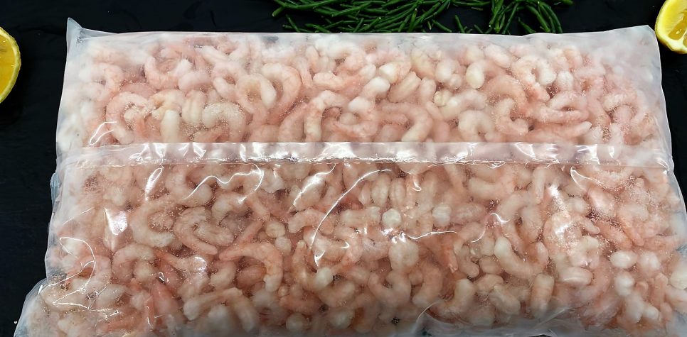 Frozen Cooked North Atlantic Prawns - D.R Collin Fish