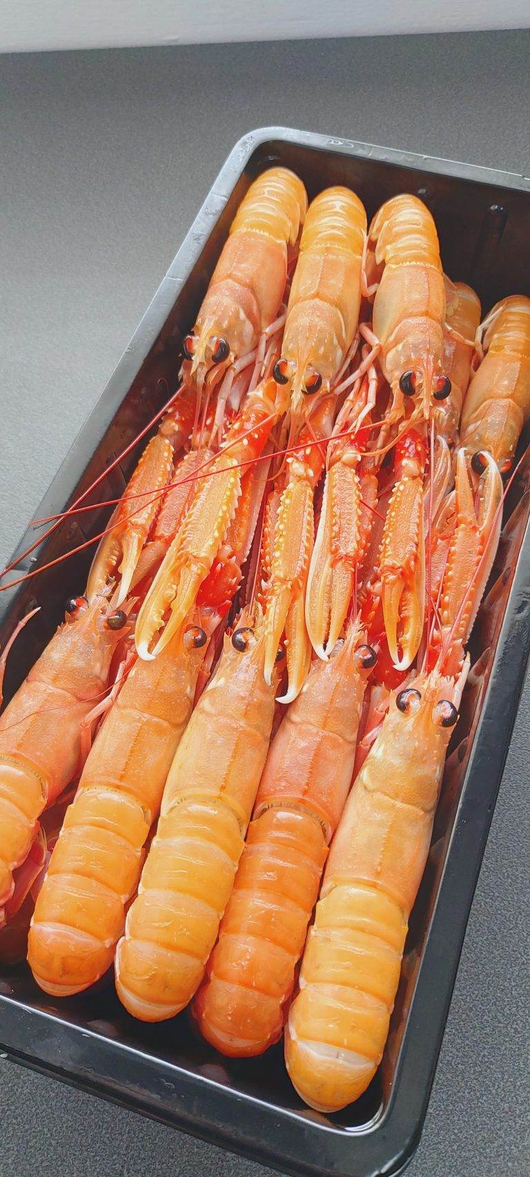 Frozen Haddock Fillets - D.R Collin Fish