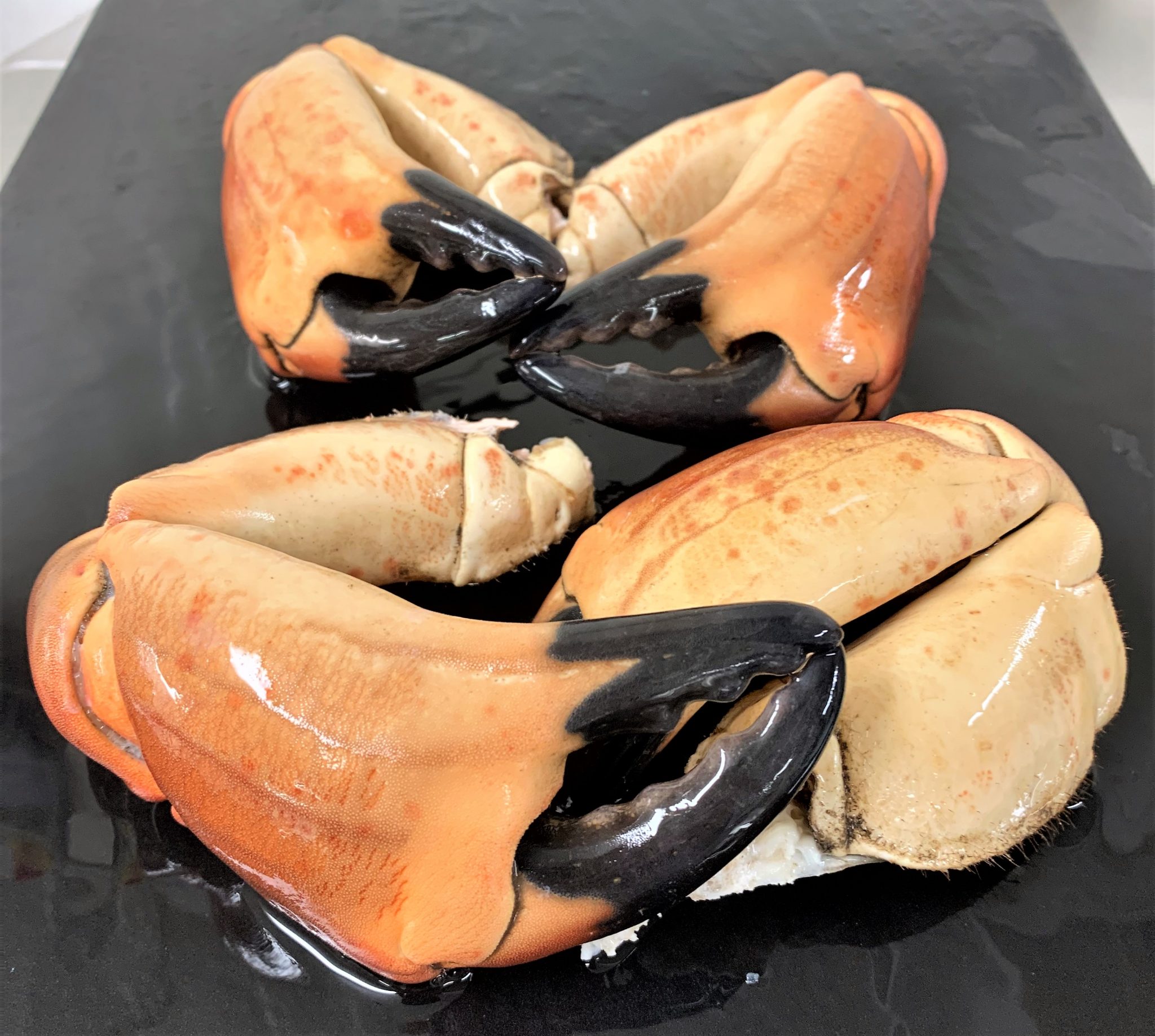 Whole Cooked Crab Claws - D.R Collin Fish